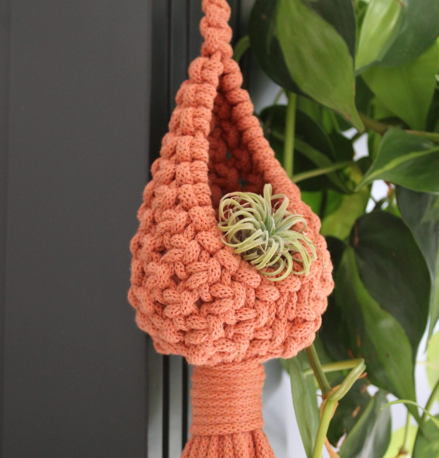 Join the Waiting List Today! | Piglet & Chestnut | Modern Macramé, DIY ...